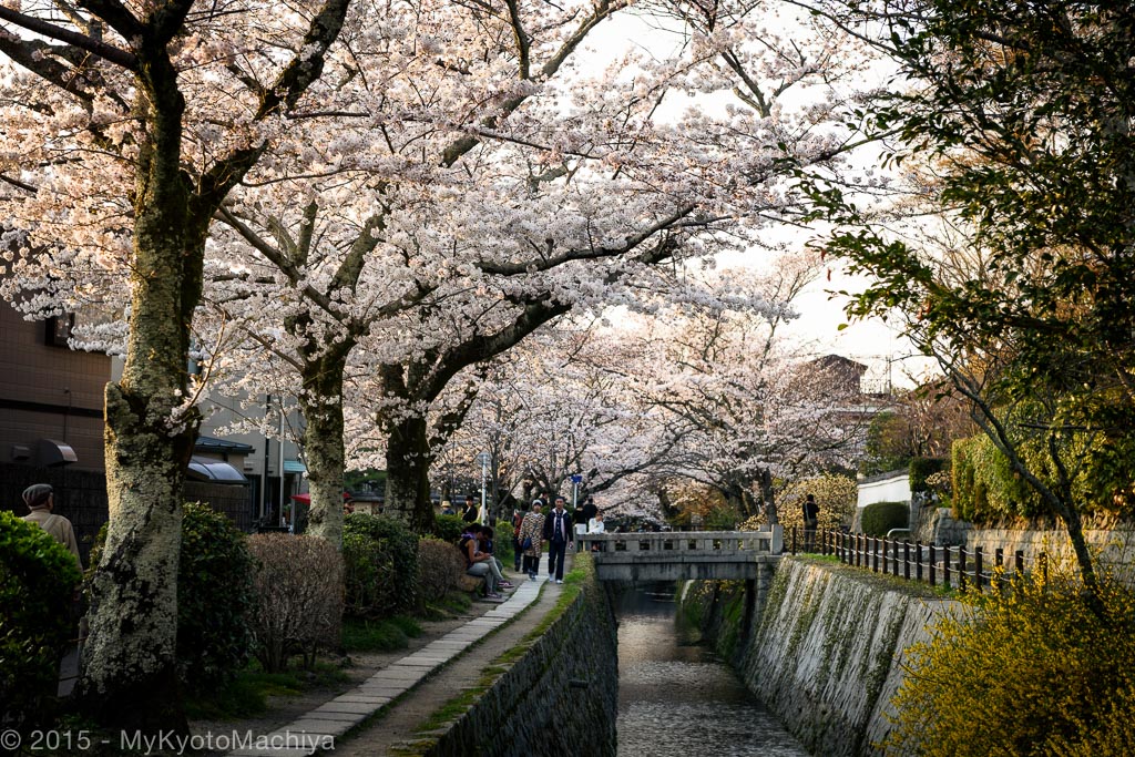 The Philosopher's Path | My Kyoto Machiya